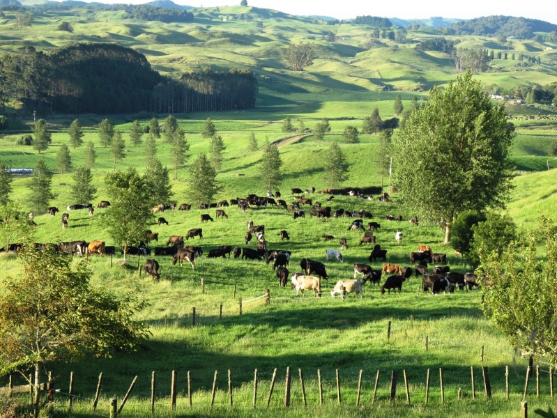 Farming and Rural Scenery - Gallery